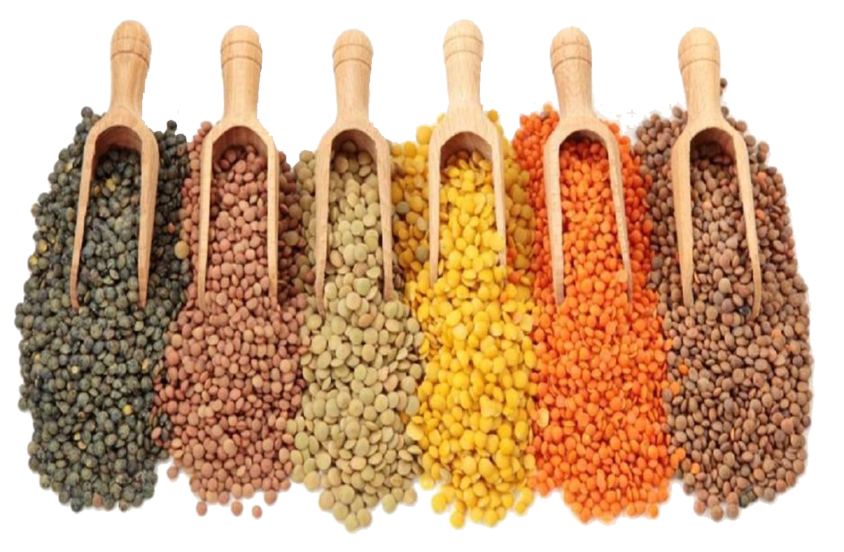 Lengendintermediate | Products